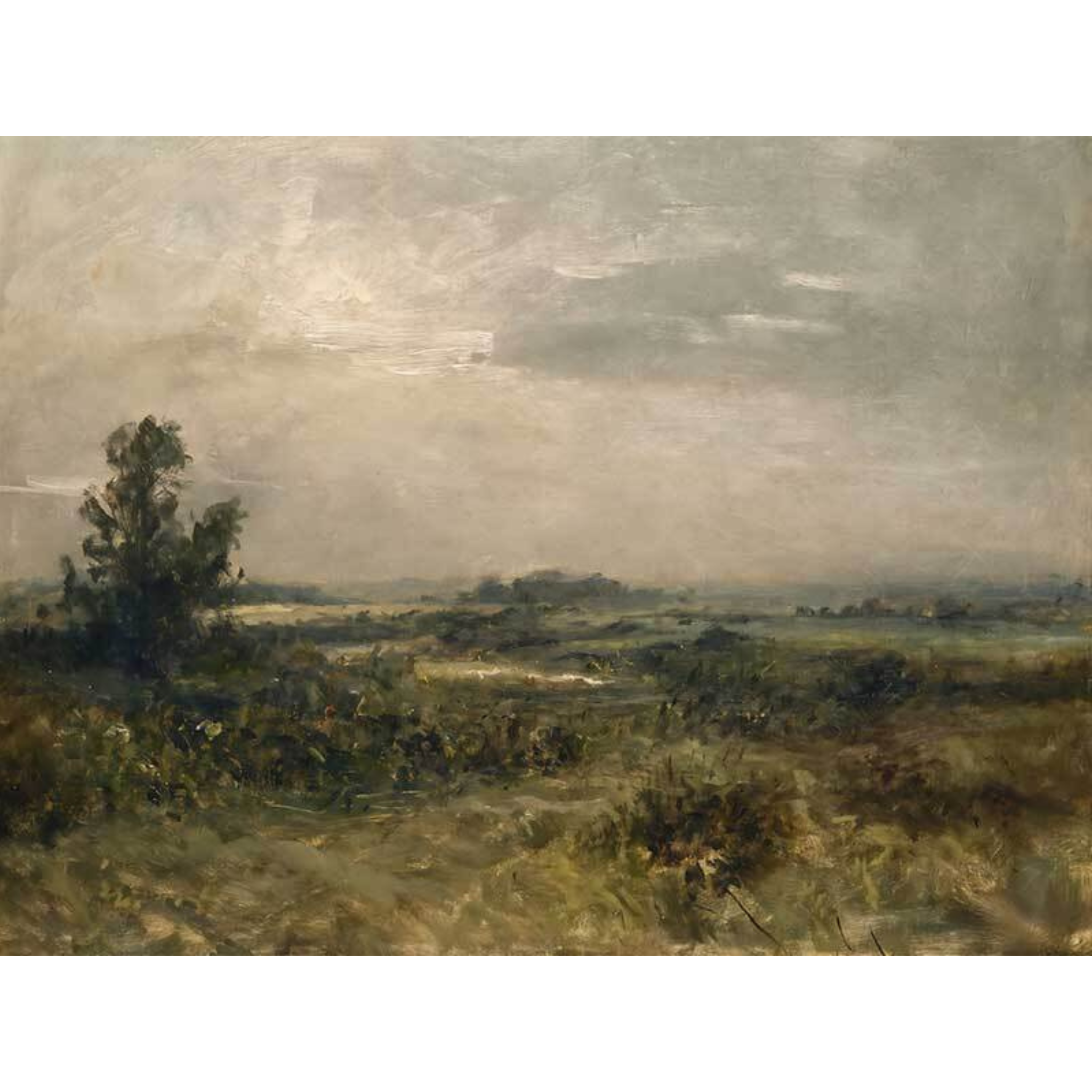 Australian Horizons – The Art Hire Company